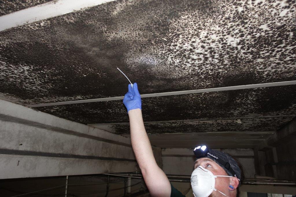 Mold Services – Materials Management Group, Inc.